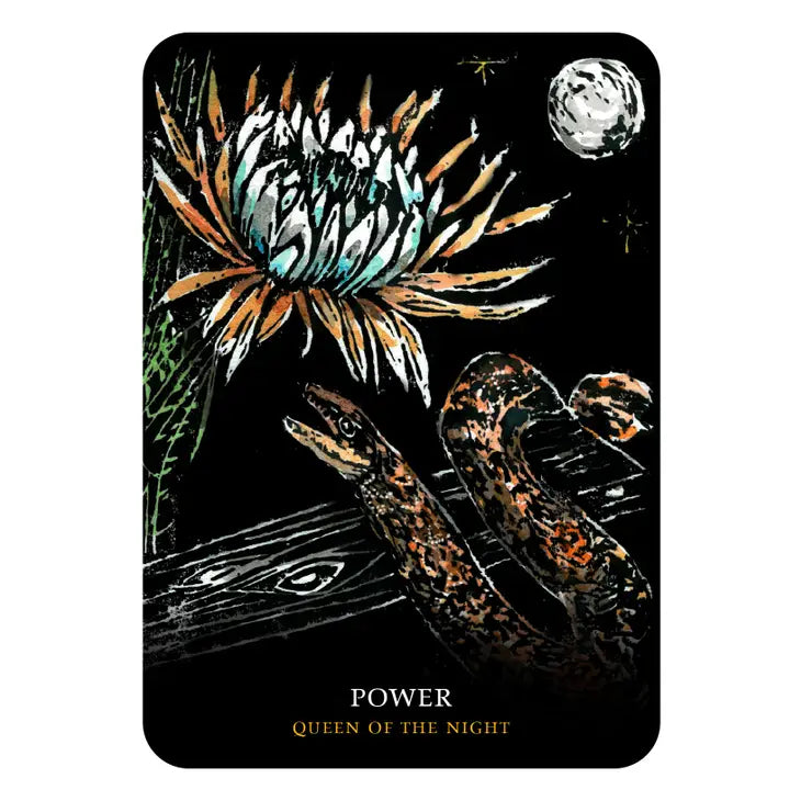 Flowers of the Night Oracle – Little Herbal Apothecary