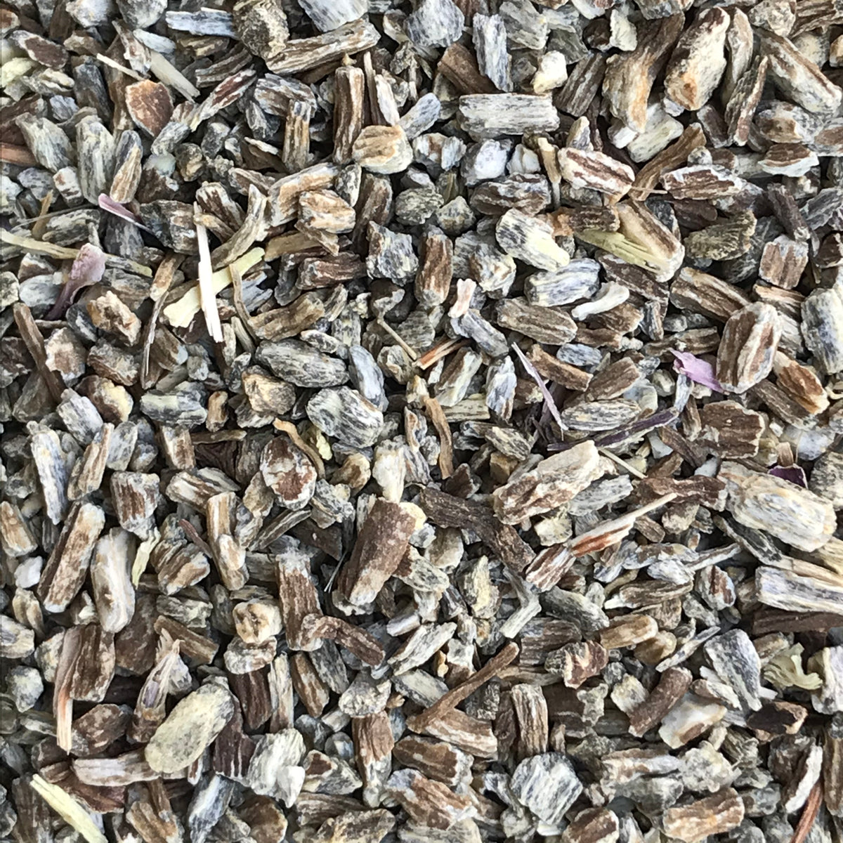 Echinacea Root – Little Herbal Apothecary