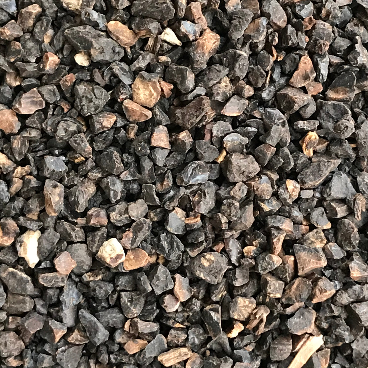 Ho Shou Wu Root – Little Herbal Apothecary
